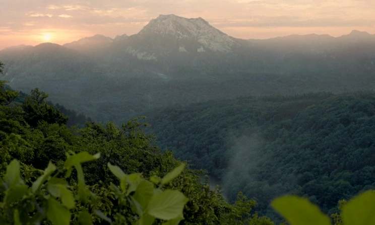 Forest of Calydon | Atlantis Wiki | Fandom