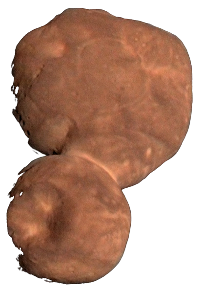 Arrokoth | Atlantlc’s The Solar System Wiki | Fandom