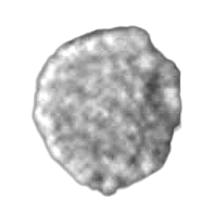 Puck | Atlantlc’s The Solar System Wiki | Fandom