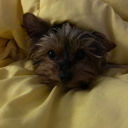 Jan | Atlas Productions Wiki | Fandom