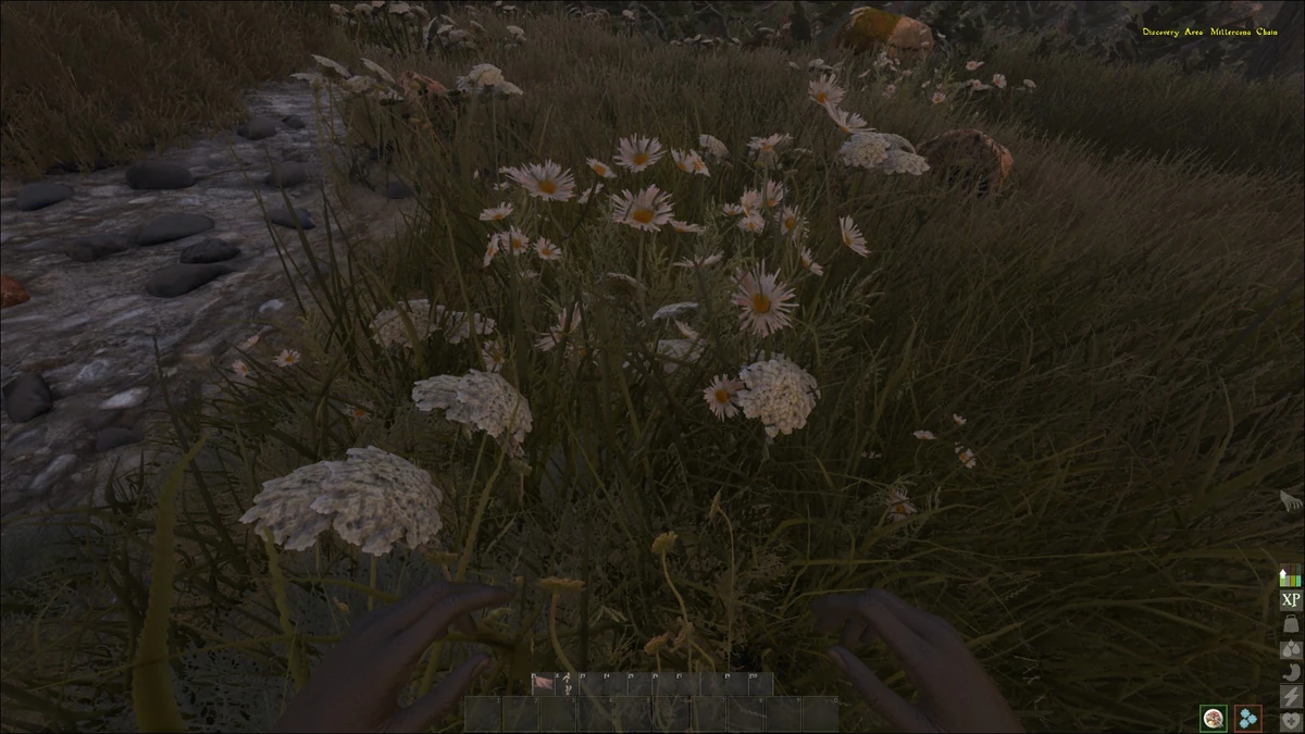 Chamomile - Official ATLAS Wiki