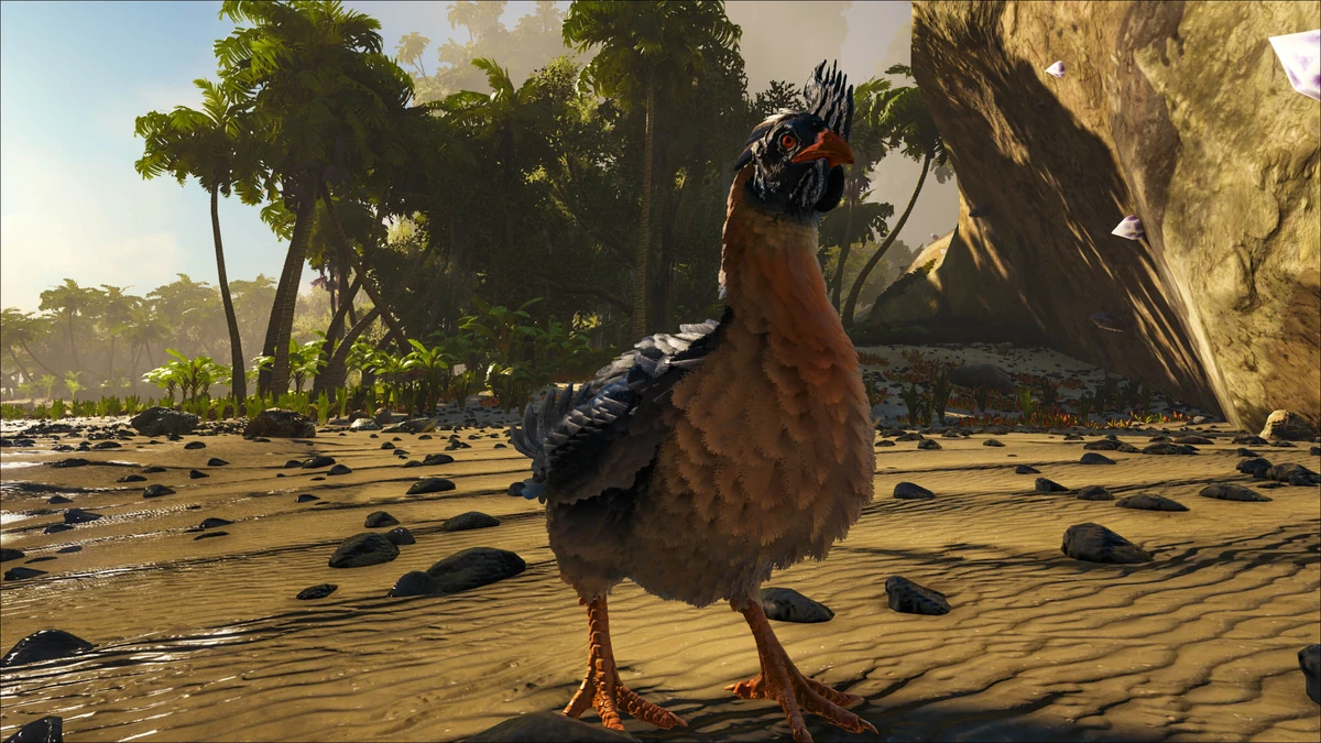 Chicken - Official ATLAS Wiki