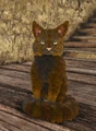 Cat - Official ATLAS Wiki