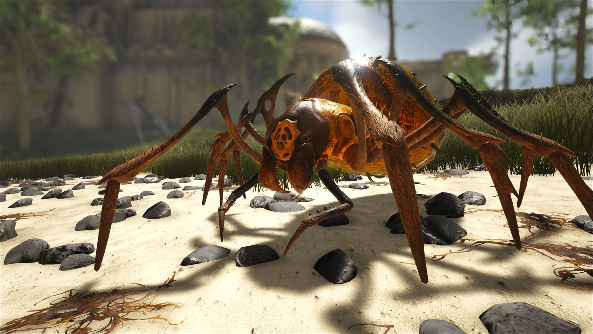 Spider - Official ATLAS Wiki
