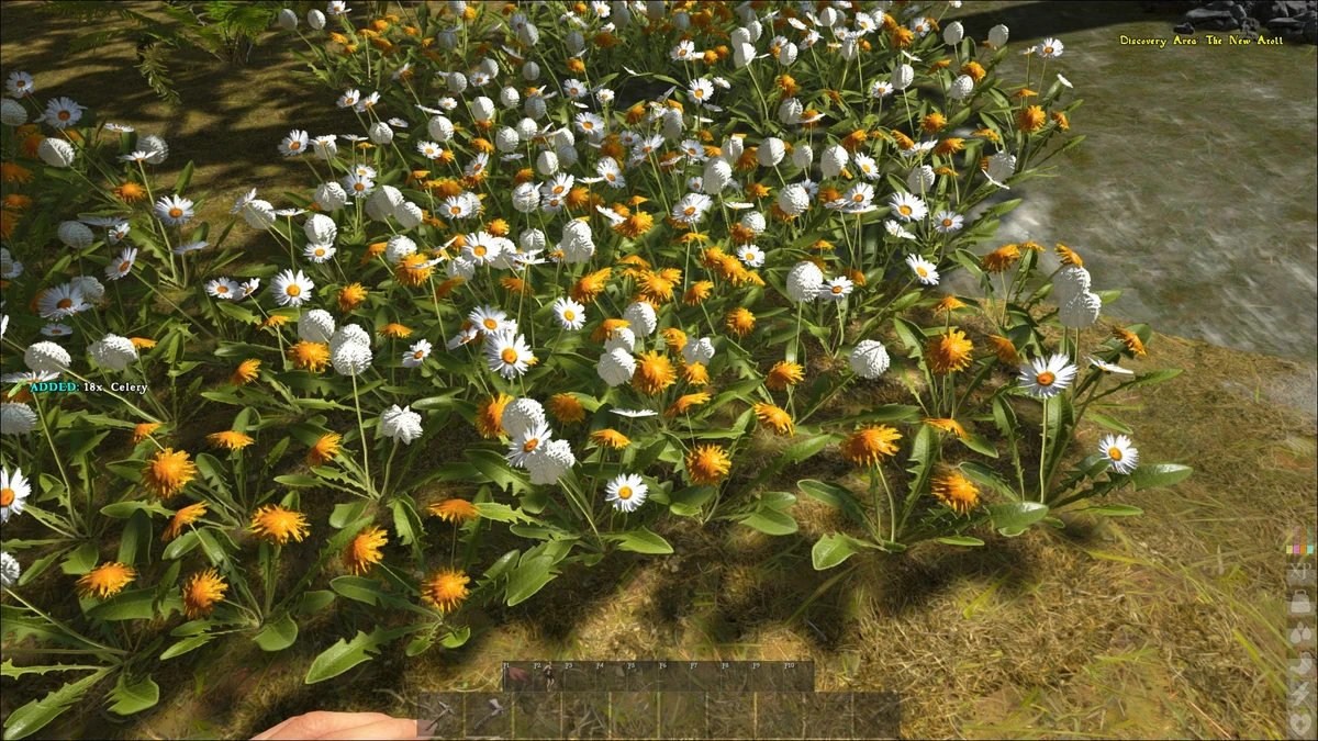 Celery - Official ATLAS Wiki