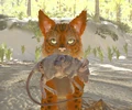Cat - Official ATLAS Wiki
