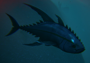 Tuna - Official ATLAS Wiki