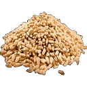 Wheat Seed - Official ATLAS Wiki