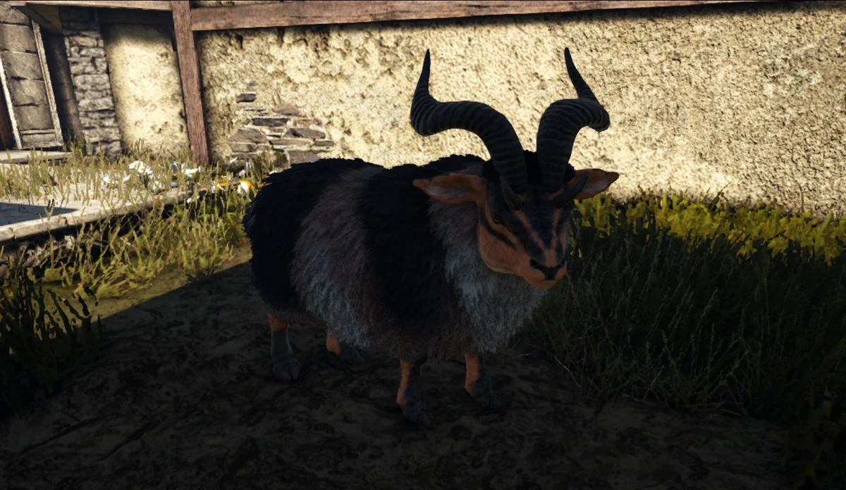 Sheep - Official ATLAS Wiki