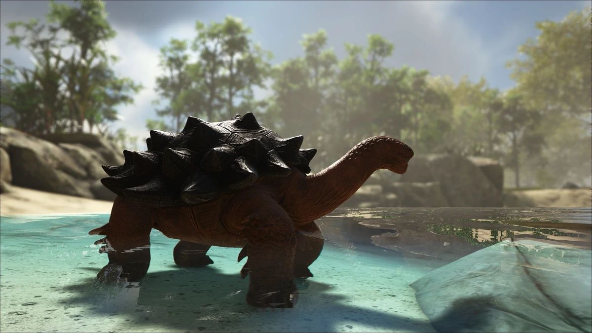 Turtle - Official ATLAS Wiki