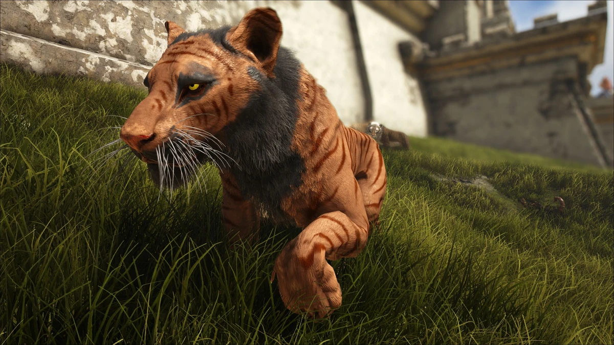 Tiger - Official ATLAS Wiki