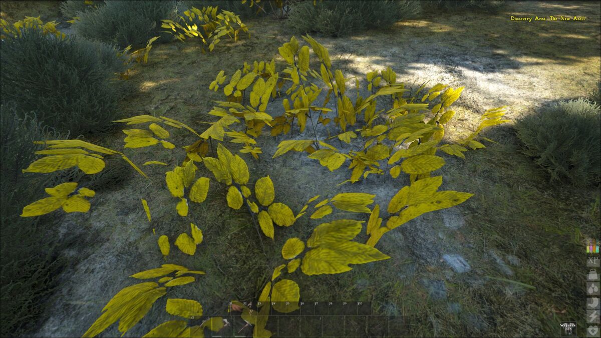 Pine - Official ATLAS Wiki