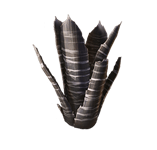 Tainted Bloom | Atlas Fallen Wiki | Fandom