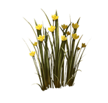 Aquatic Daelia | Atlas Fallen Wiki | Fandom