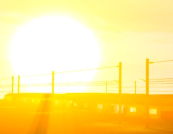 Home | A Typical Neighborhood Wiki | Fandom