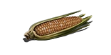 Corn | ATOM RPG Wiki | Fandom