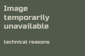 Igor Death | ATOM RPG Wiki | Fandom