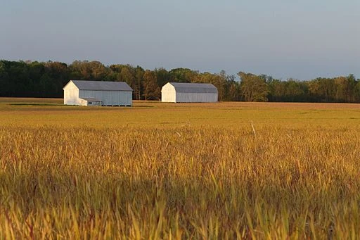 Douglas Point (USA) | AtomkraftwerkePlag Wiki | Fandom