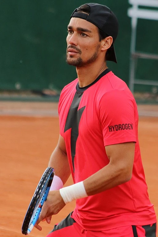 Fabio Fognini | ATP World Tour Wiki | Fandom