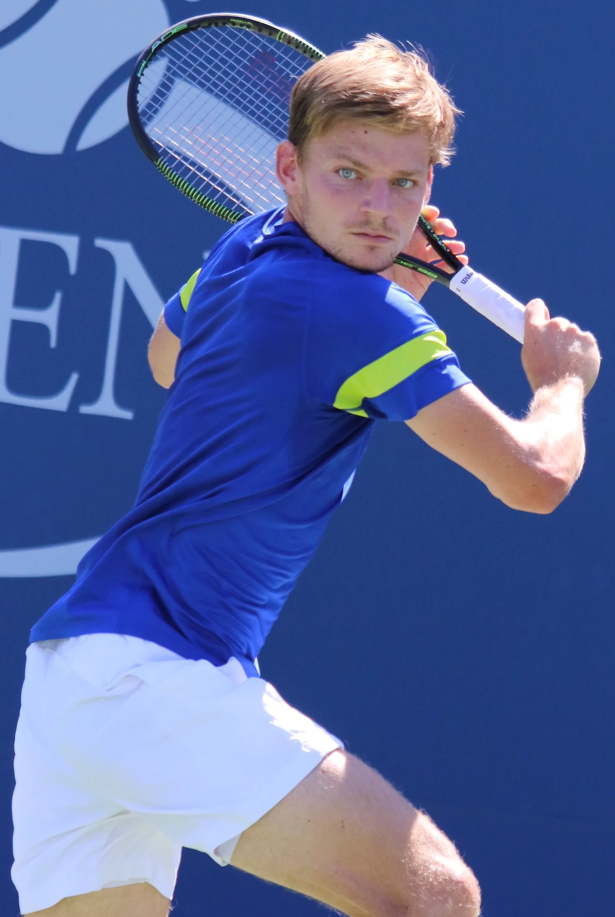 David Goffin | ATP World Tour Wiki | Fandom