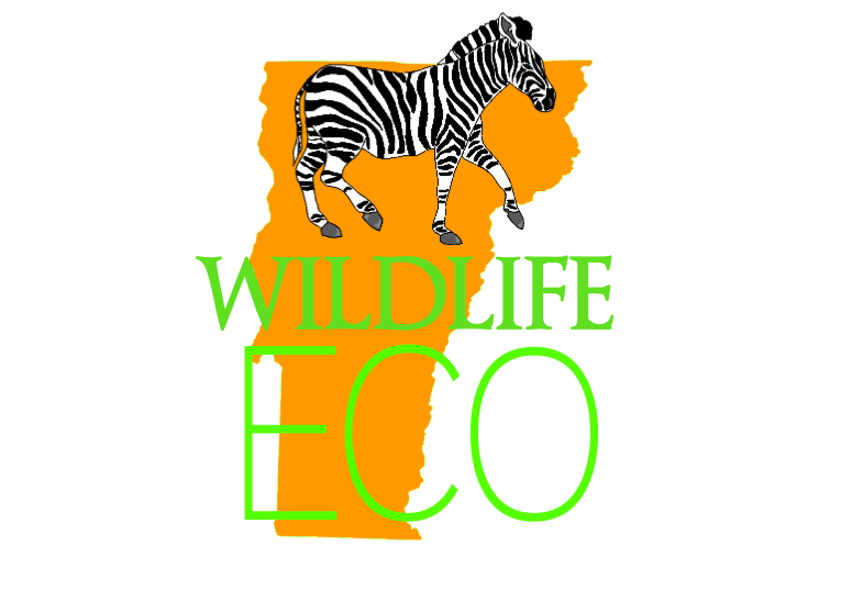Wildlife Eco | Attraction Ideas Wiki | Fandom