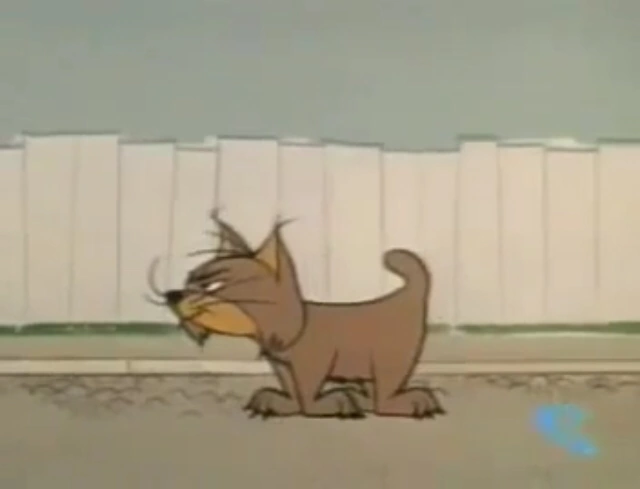 Wildcat (Cat Happy Pappy) | Augie Doggie and Doggie Daddy Wiki | Fandom