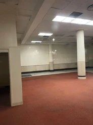 Level 45: "Painless, Emotionless, Emptiness, Distorted, Loneliness ...