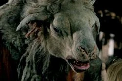 Weresheep | Auldensphere Wiki | Fandom