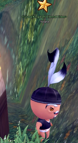 Yeshe | Aura Kingdom Wiki | Fandom