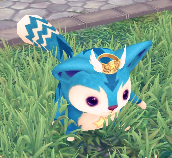 Shooting Star Tanuki | Aura Kingdom Wiki | Fandom