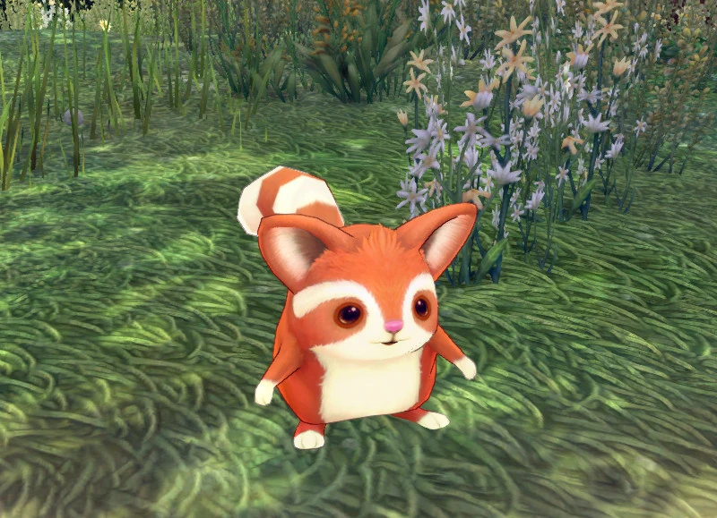 Autumn Tanuki | Aura Kingdom Wiki | Fandom