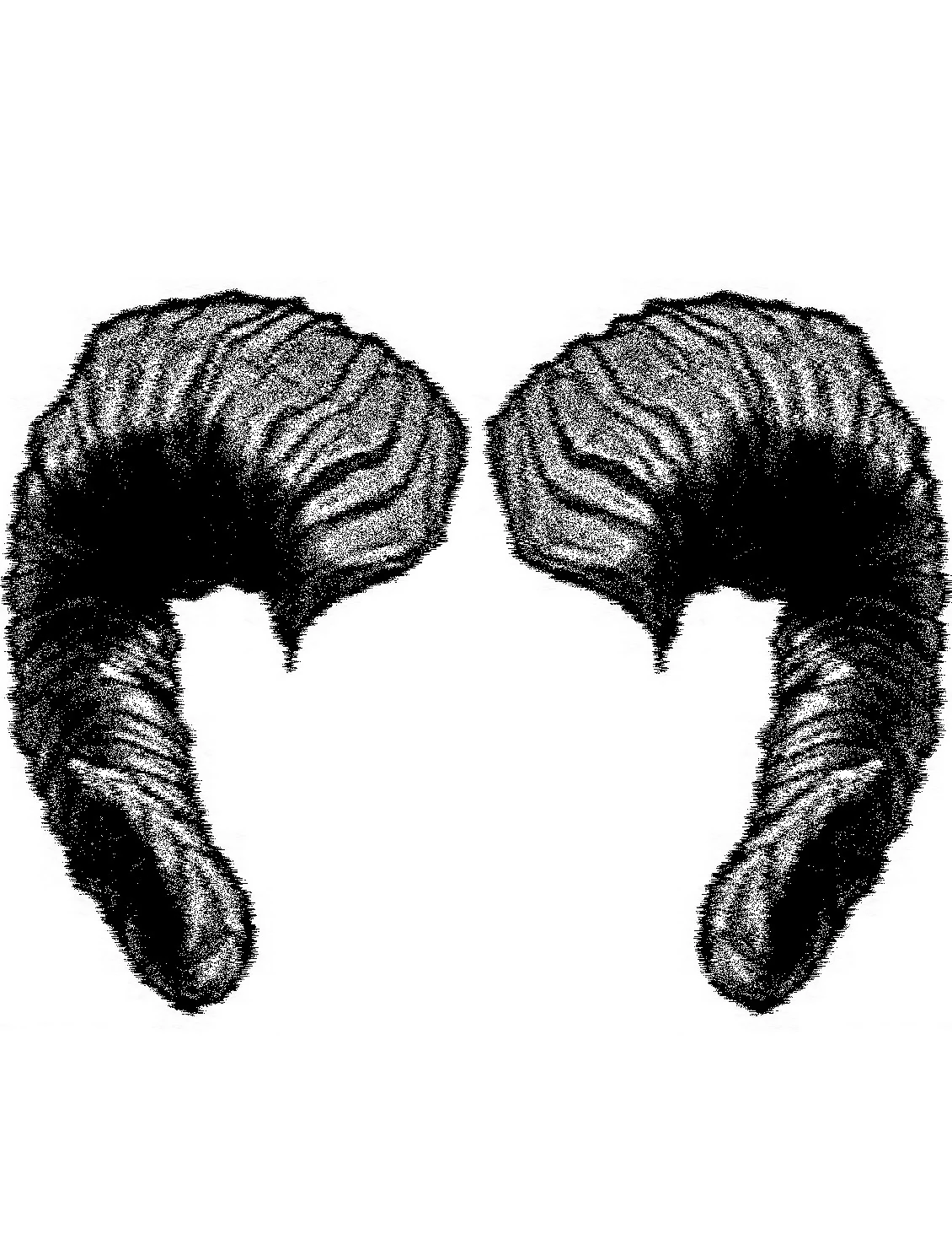 Dunkar Frō | Aurea Wiki | Fandom