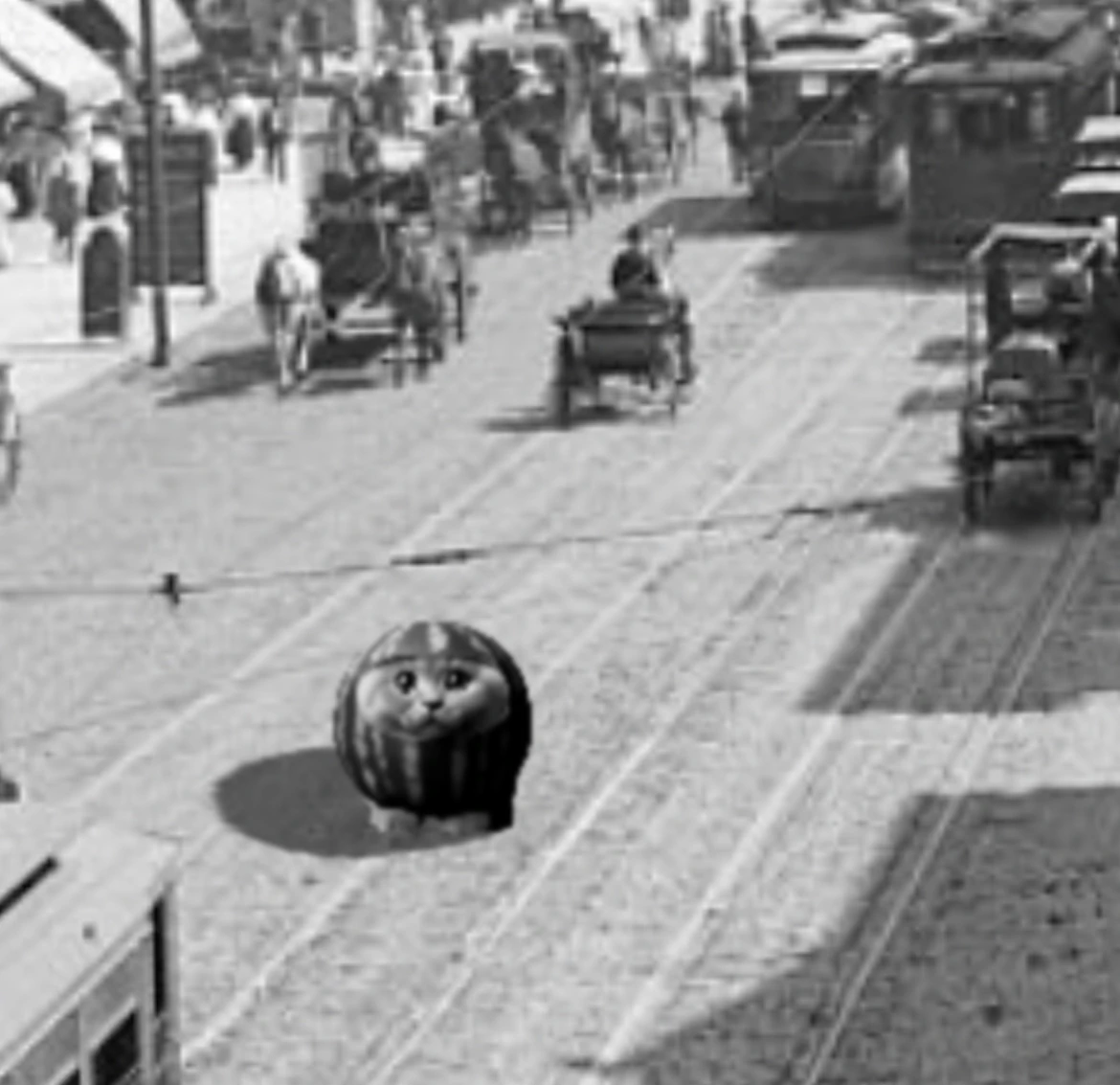 Aus Timeline | Auspedia Wiki | Fandom