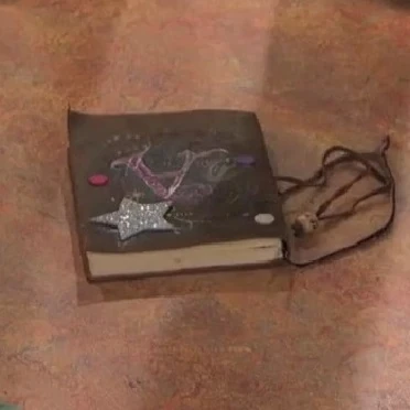 Ally's Song Book | Austin & Ally Wiki | Fandom