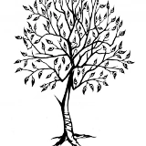 Commonancestry | Austraeoh Wiki | Fandom