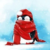 NiXioX | Austraeoh Wiki | Fandom