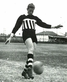 Dave Boyd | Australian Rules Football Wiki | Fandom