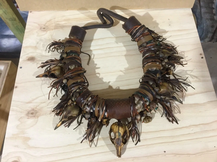 Immunity Necklace | Australian Survivor Wikia | Fandom