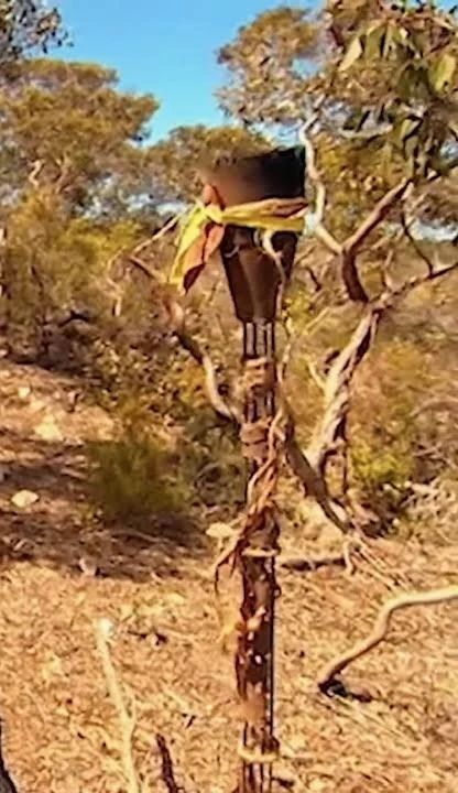 Torch | Australian Survivor Wikia | Fandom