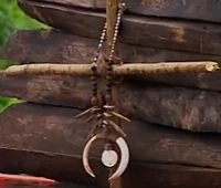 Immunity Necklace | Australian Survivor Wikia | Fandom
