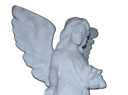 Sage | Authors' Academy Wiki | Fandom