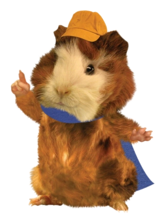 Linny the Guinea Pig | Autistic Characters Wiki | Fandom