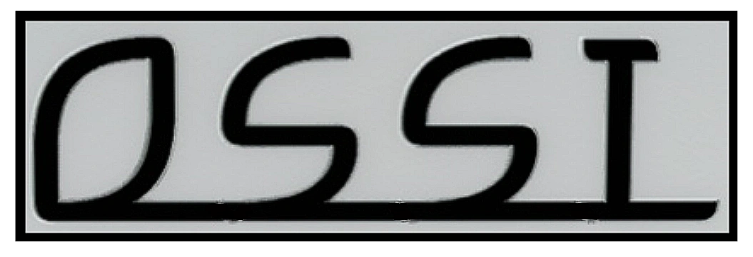 Ossi | Automation Lore Wiki | Fandom