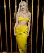 Met Gala | Ava Max Wiki | Fandom