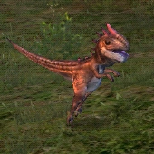 Category:Grassland Area Monsters | Avabelonline Wiki | Fandom