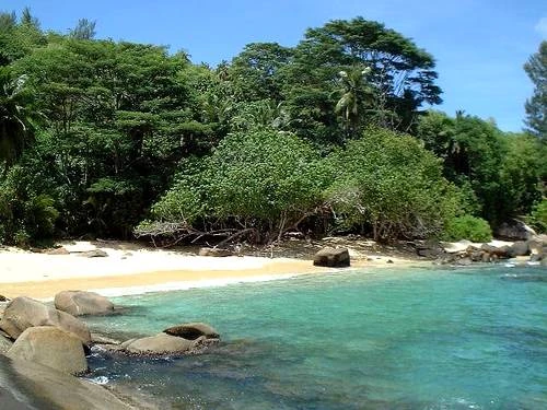 Bellum Basium | Avalon Roleplay Wiki | Fandom