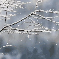 Acceptance Process | Avalon Roleplay Wiki | Fandom