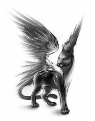 Faylinn | Avalon: Web of Magic Wiki | Fandom