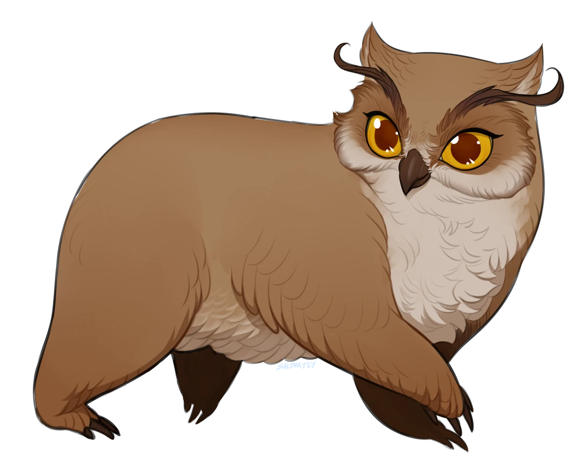 Hootsie | Avantris Wiki | Fandom