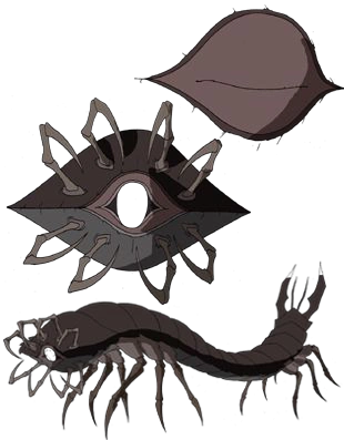 Koh | Avatar lostlore Wiki | Fandom